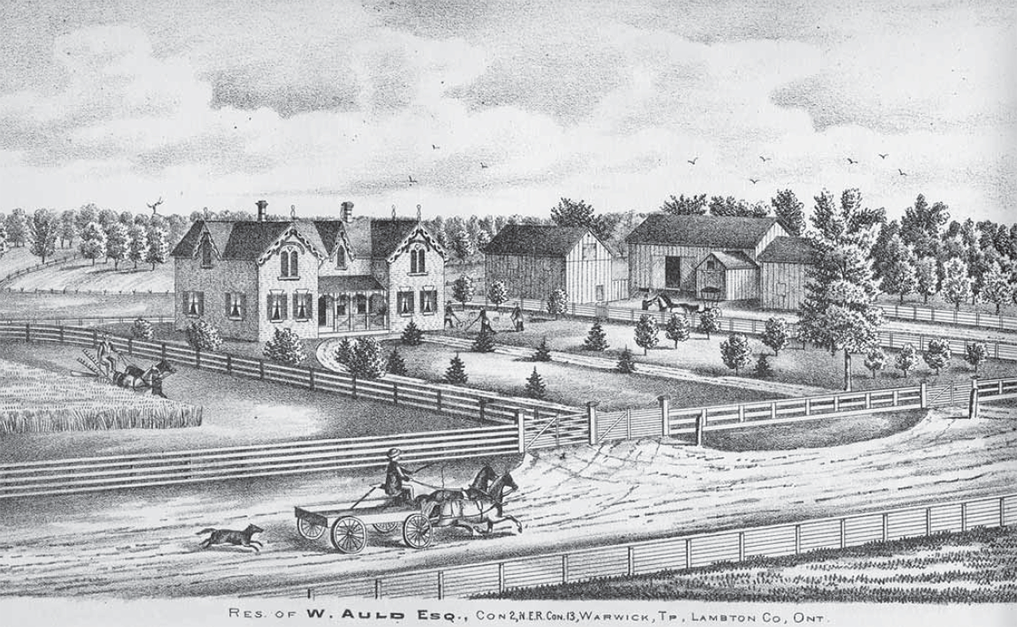 Auld - Lambton County Museums
