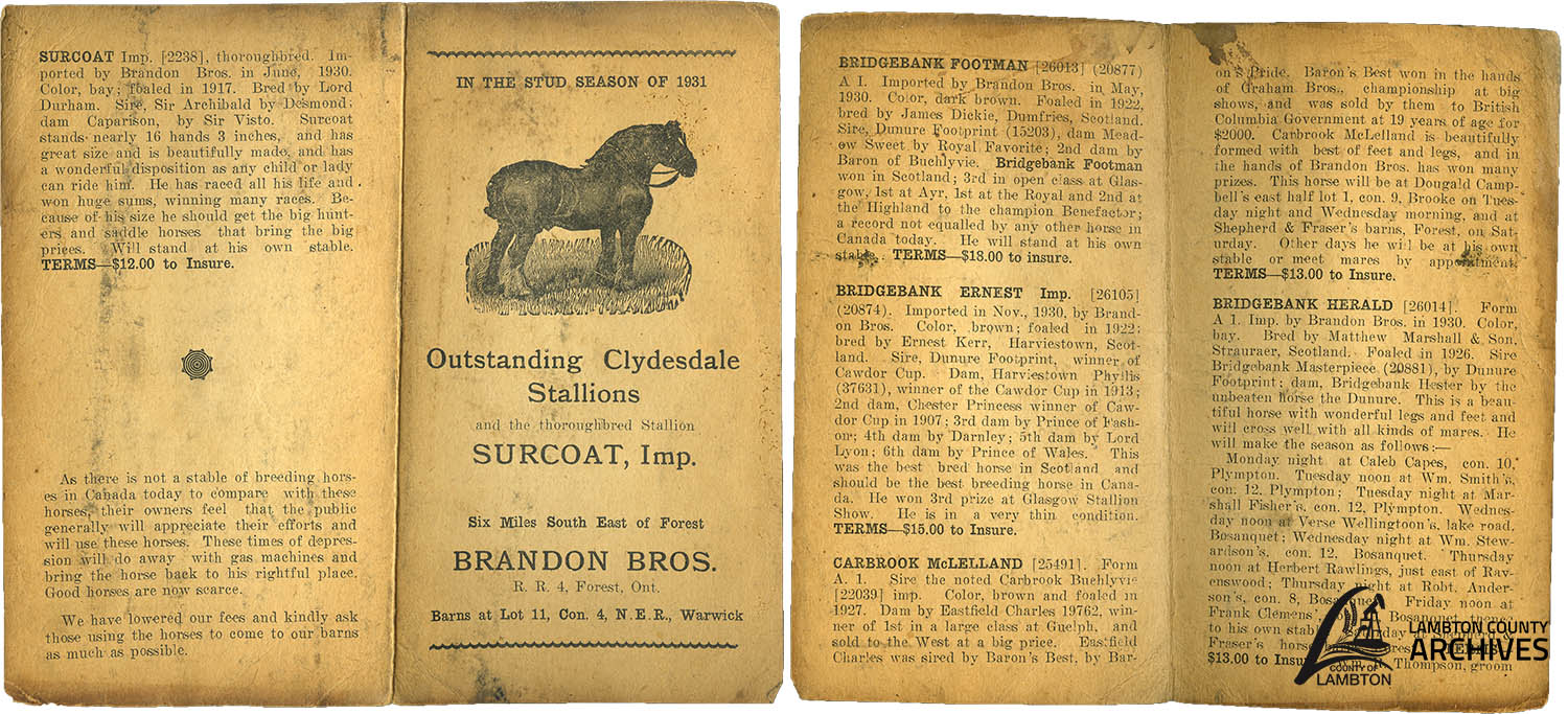 Brandon Brothers Stables: James Brandon, William J. Brandon, Robert ...