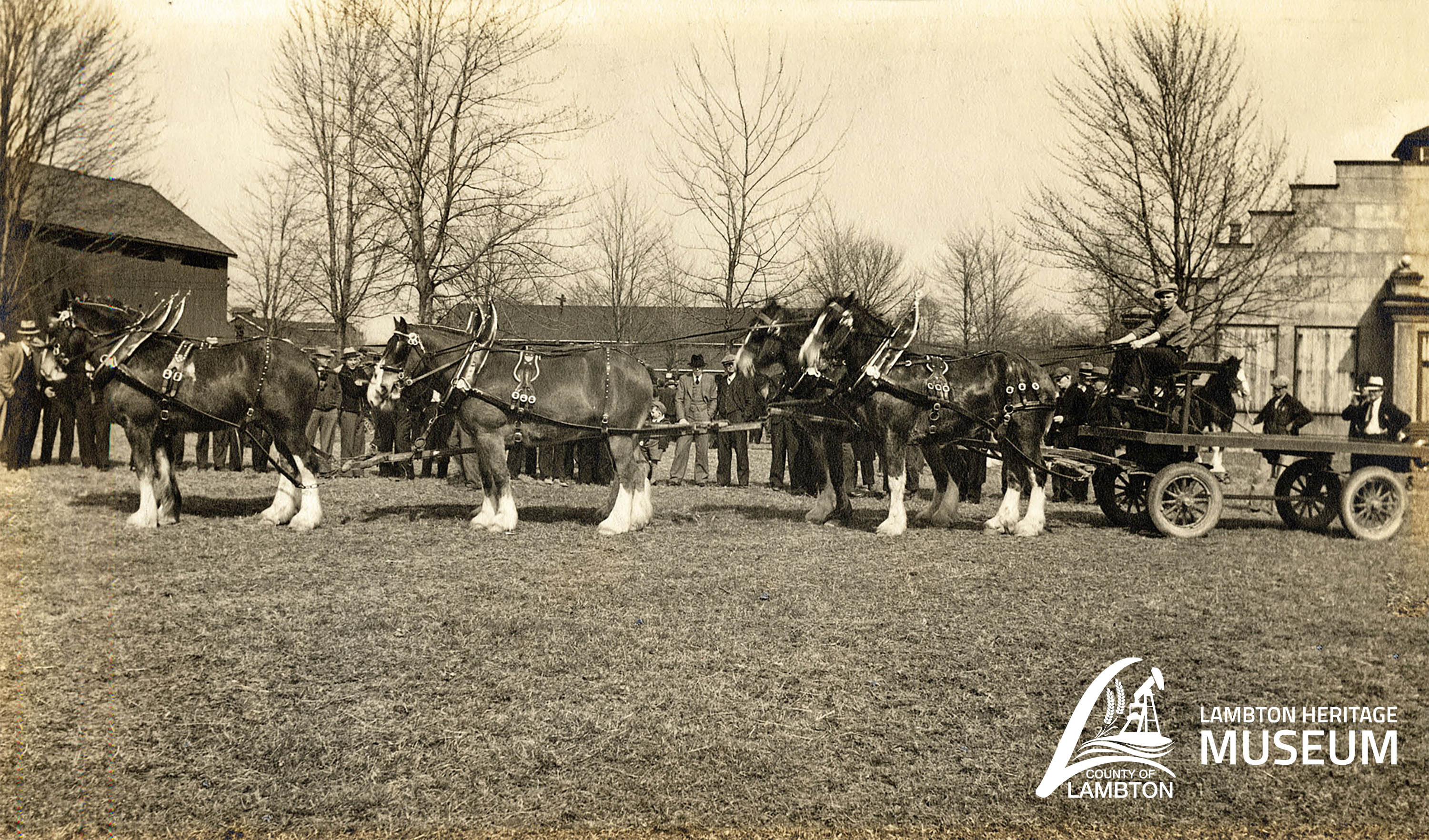 Brandon Brothers Stables: James Brandon, William J. Brandon, Robert ...